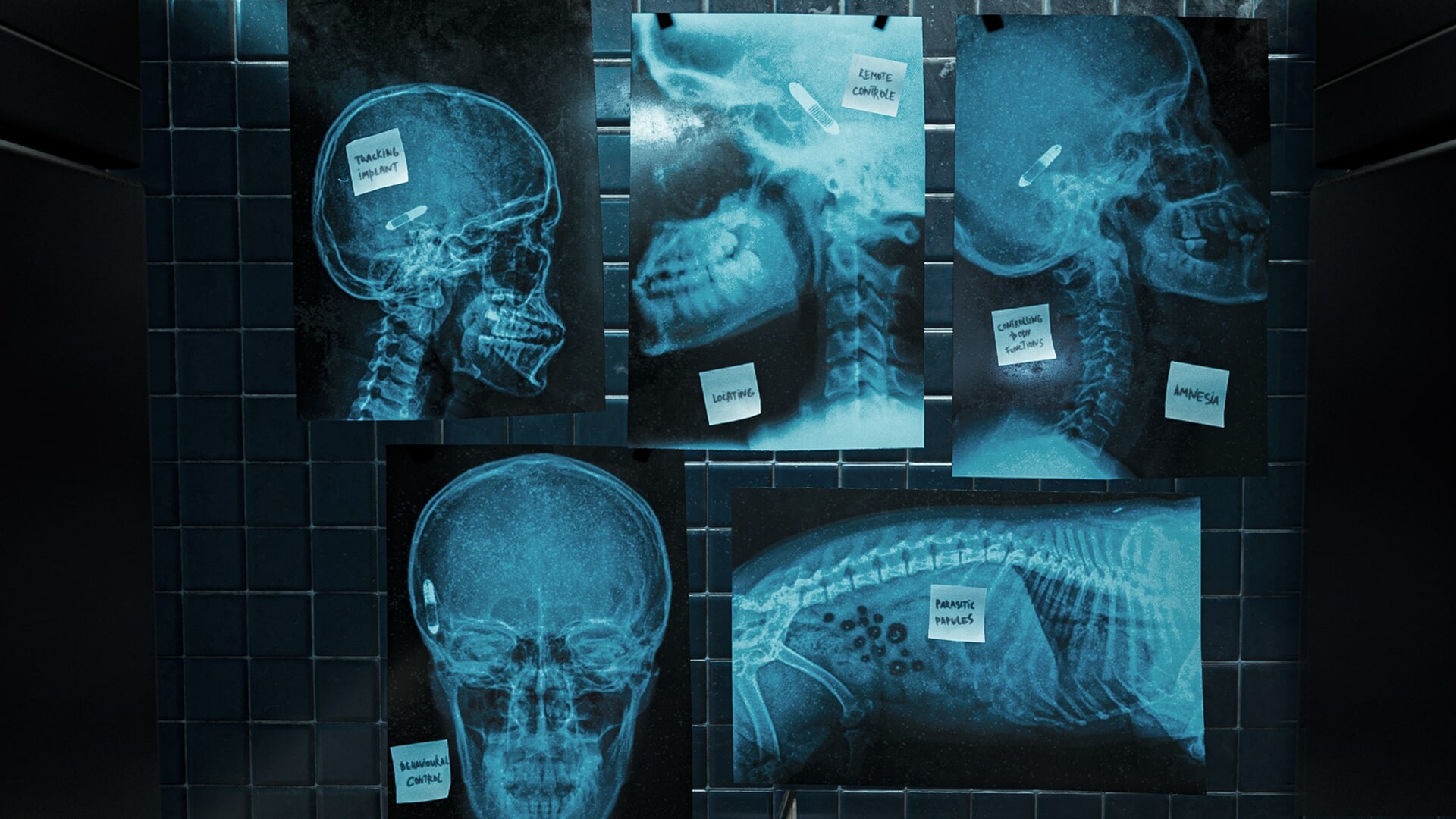 They Are Here: Alien Abduction Horror - Game details | Adventure Gamers